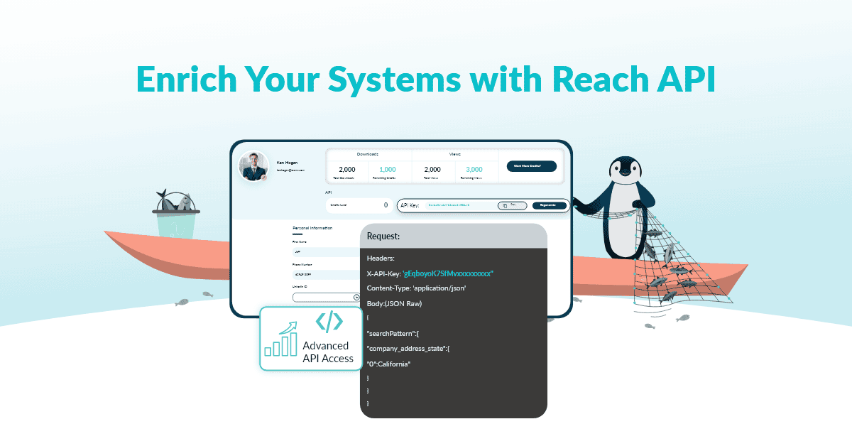 Enrich Your Systems with Reach API | ReachStream